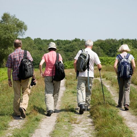 Wellbeing walks - Feel Good Suffolk